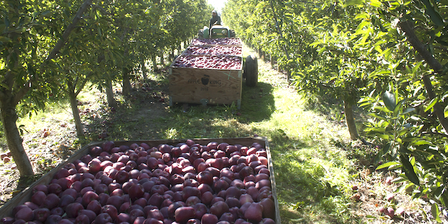 U.S. Labor Department moves to reduce farm labor costs | Central Oregonian